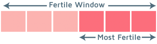 Fertility | Ready or Not Alberta | Ready